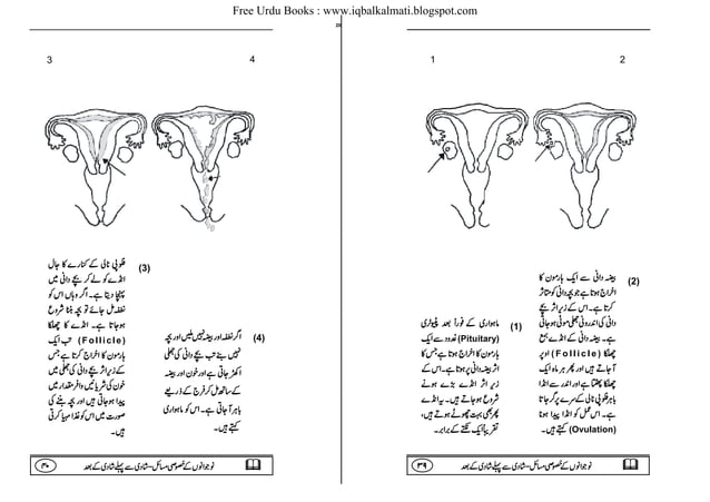 Sex Education In Urdu Book By Doctor Syed Mubeen Akhtar اسلامی نکاح