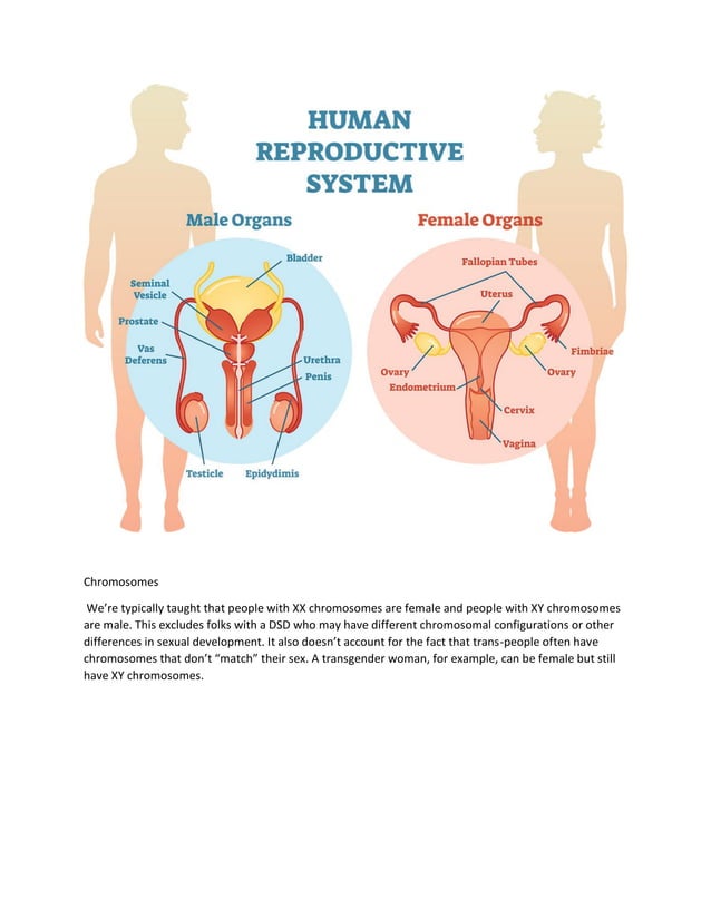 Sex Gender And Sexuality A Summarized Explanation Pdf