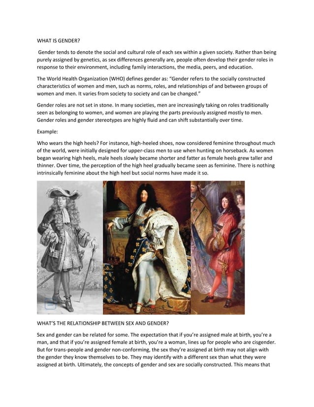 Sex Gender And Sexuality A Summarized Explanation Pdf