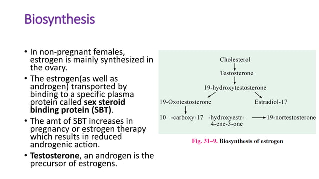 SEX HORMONE.pptx