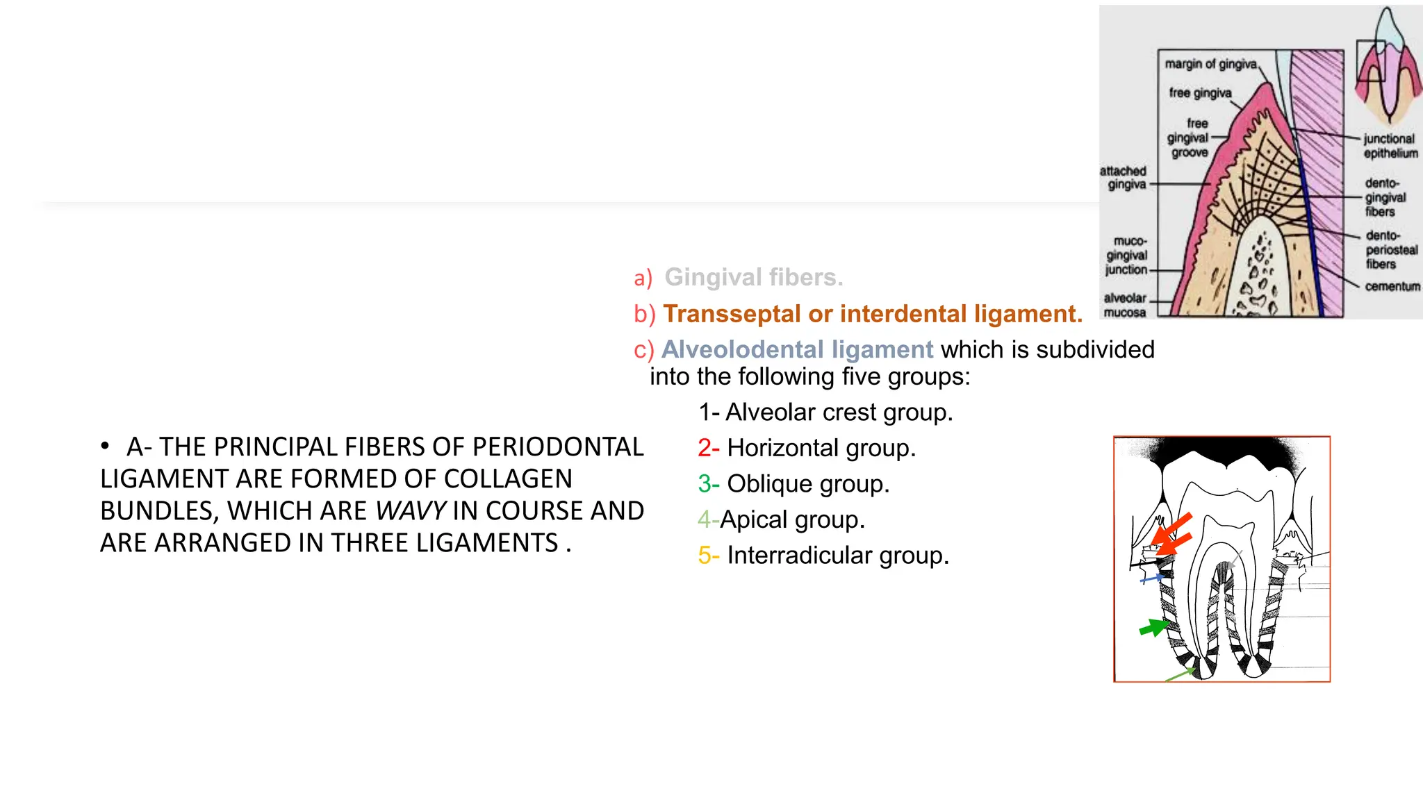 sex hormones and periodontium and its impact on oral diseasesa.pdf