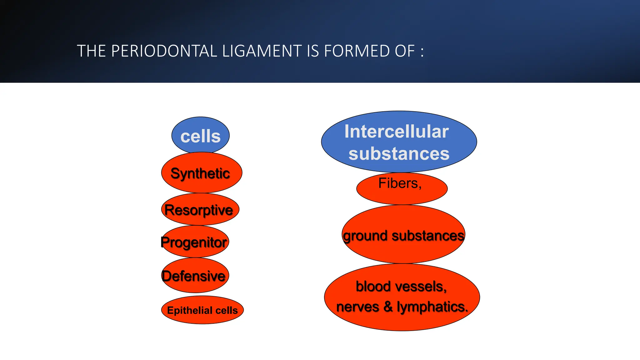 sex hormones and periodontium &its impact on oral diseases.pptx