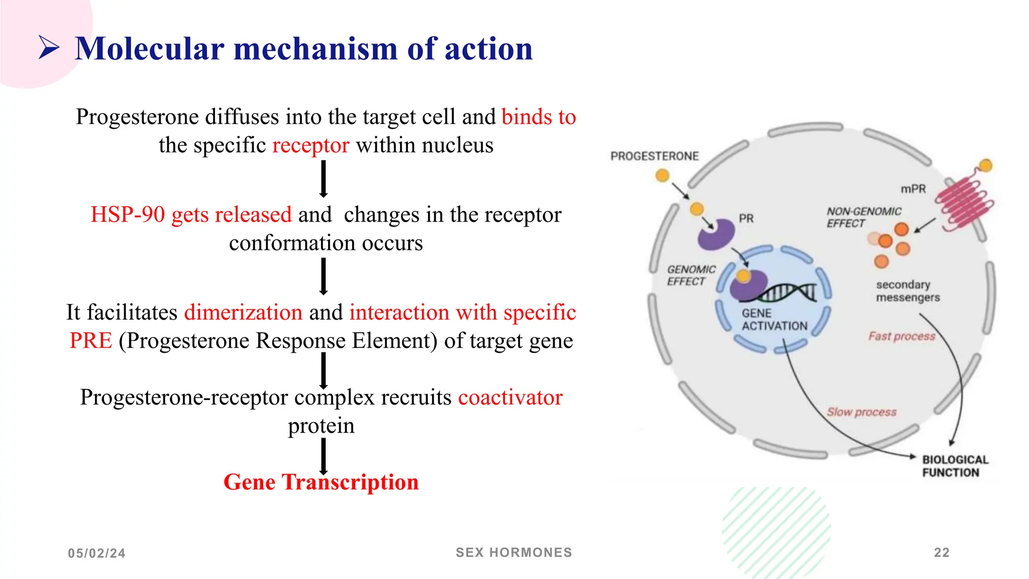Sex Hormones and Oral Contraceptives.pptx