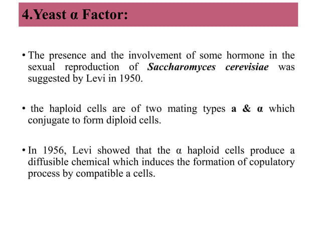 Sex Hormones In Fungi Ppt