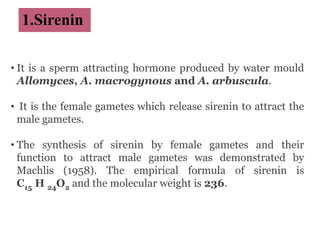 Sex hormones in fungi | PPTX