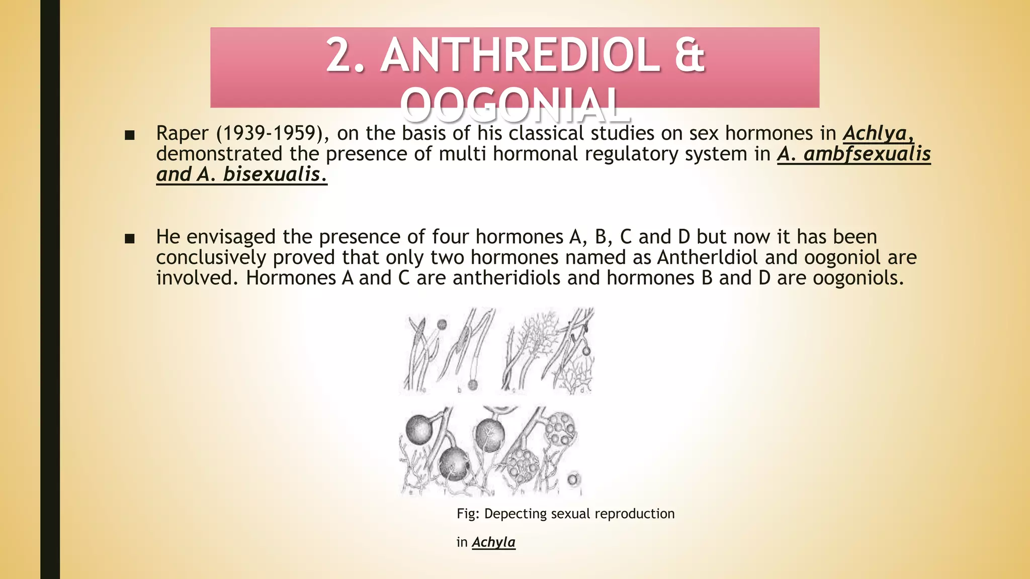 Sex Hormones In Fungi New Pptx