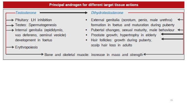 Sex Hormones Male Pptx Hormonal Disorders Endocrine And Metabolic Diseases