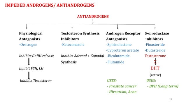 Sex Hormones Male Pptx Hormonal Disorders Endocrine And Metabolic Diseases
