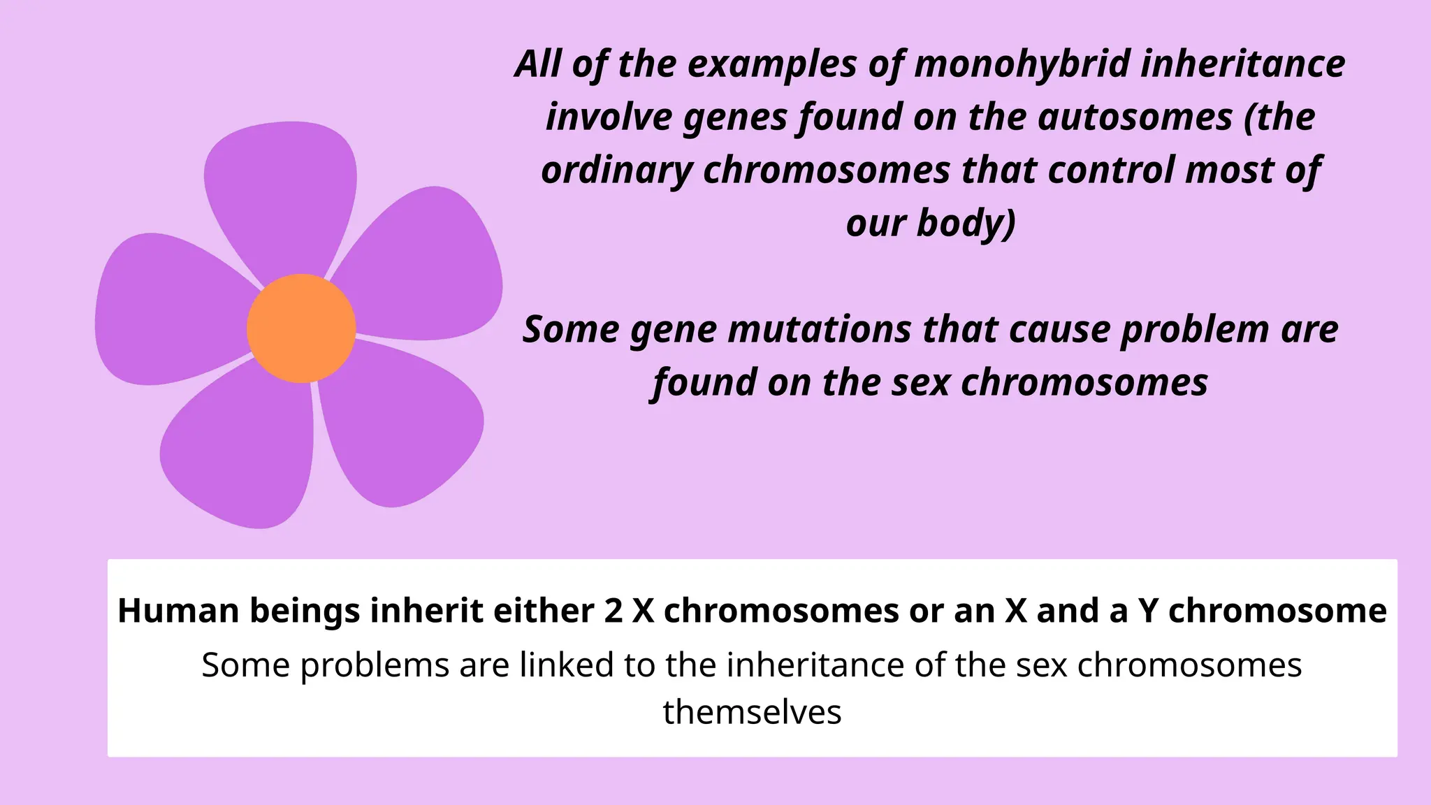 Sex Inheritance Powerpoint 1 Sc Pptx