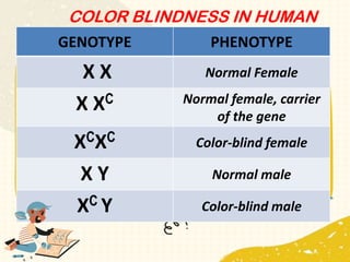 sex limited traits.pptx