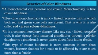Sex Linkage in Drosophila and Genetics of Color Blindness | PPTX
