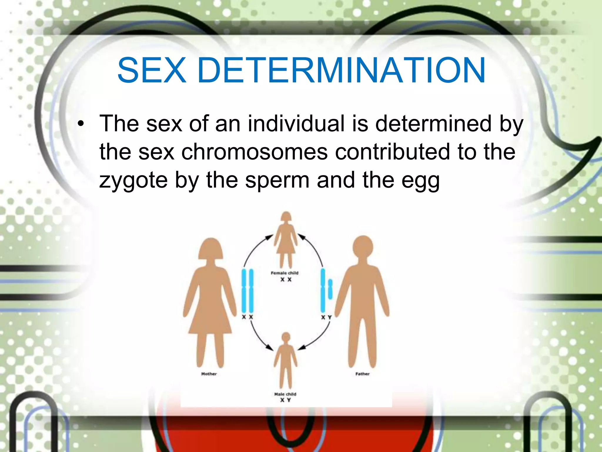 SexLinkage2.ppt