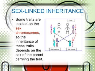 SexLinkage2.ppt