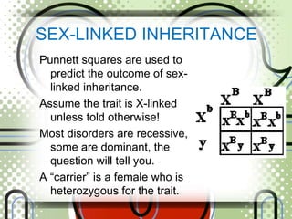 SexLinkage2.ppt