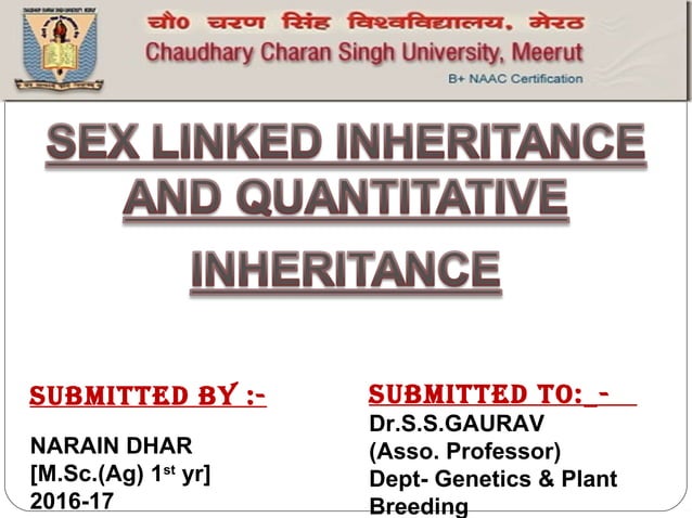 Sex Linked And Quantitative Inheritance Ppt