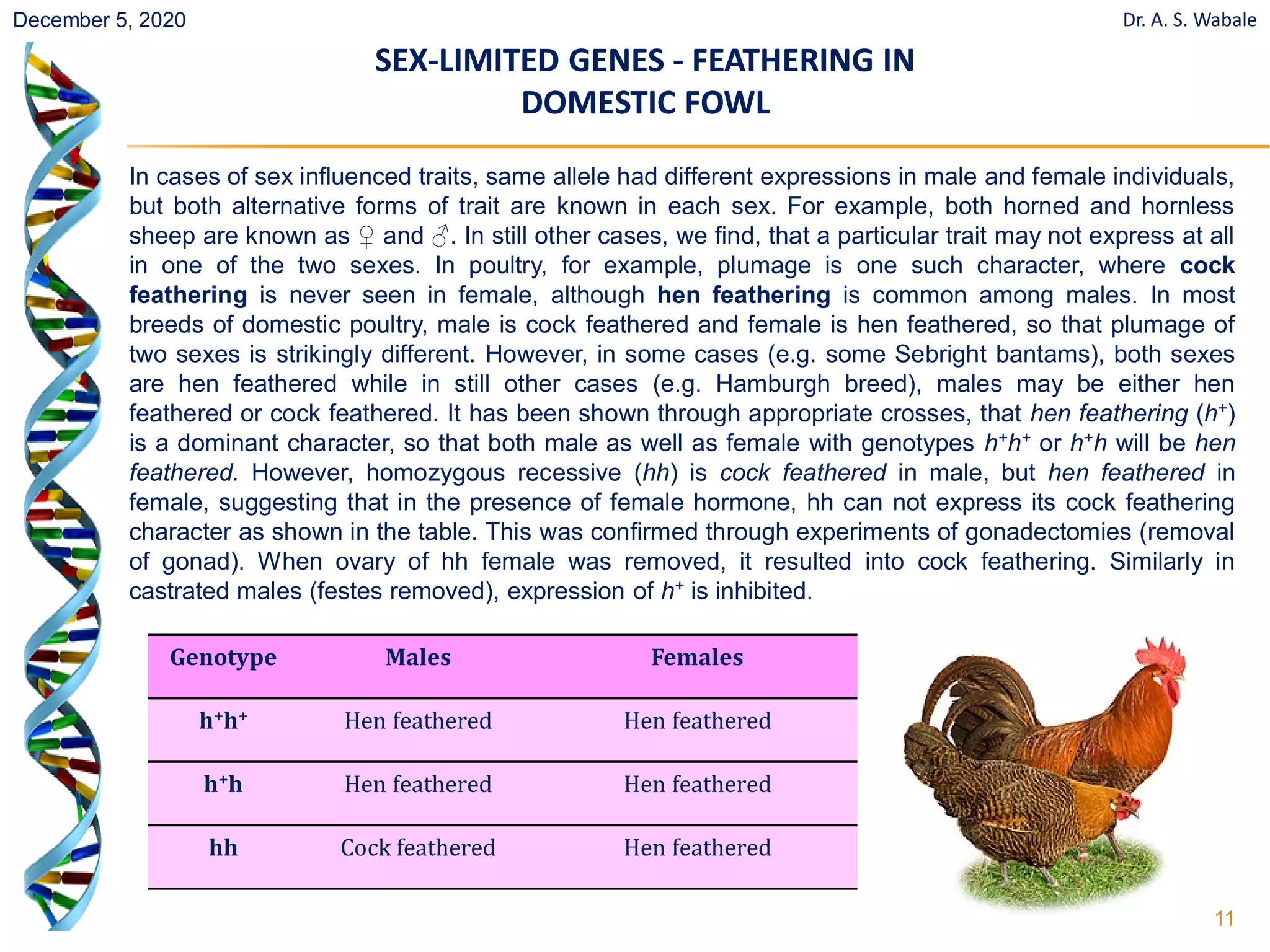 Sex Linked Inheritance Pdf