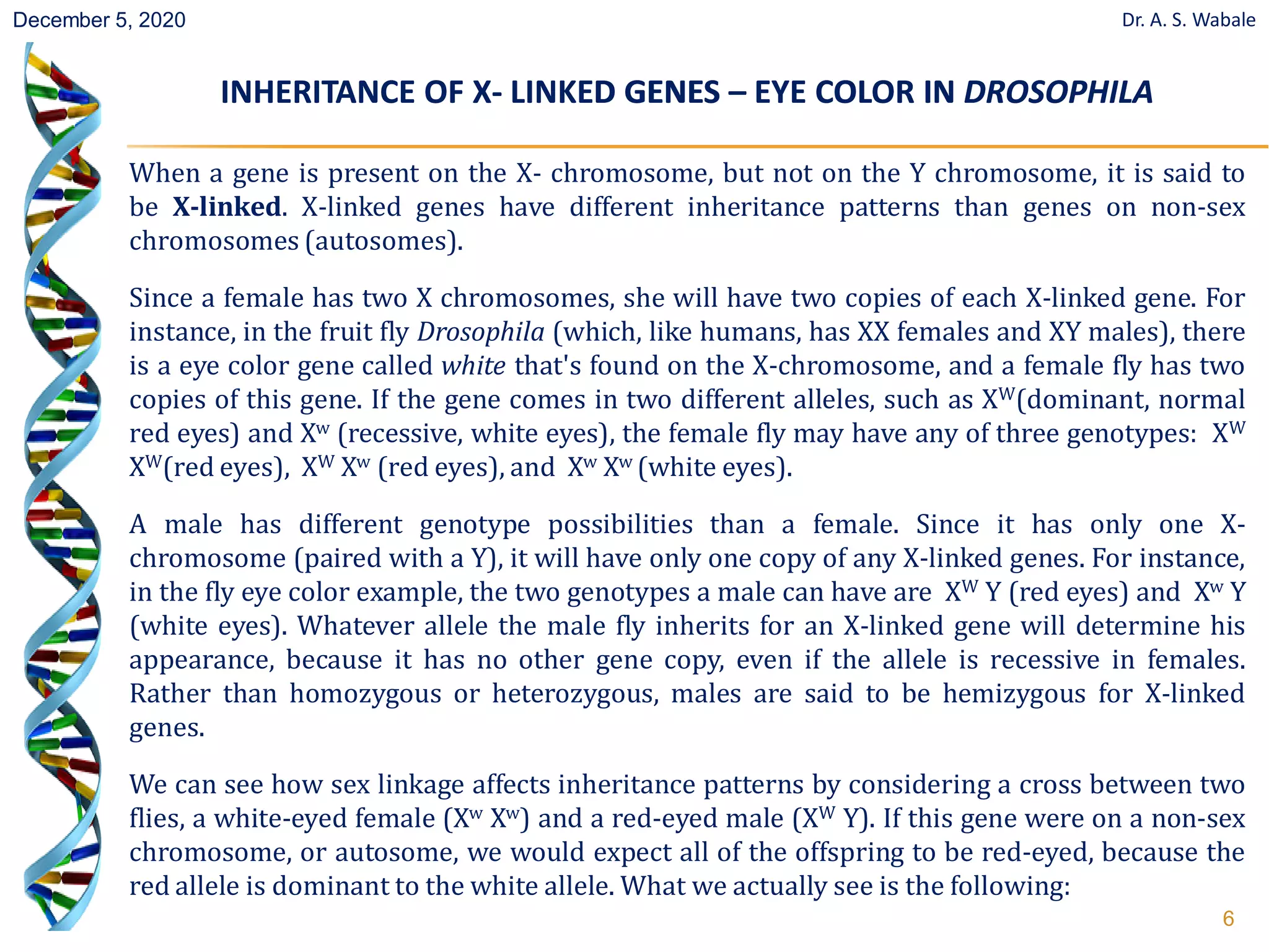 Sex linked inheritance | PDF