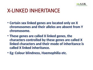 sex linked inheritance x Linked inherita | PPTX