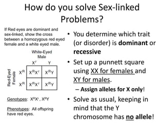 Sex linked inheritance and pedigree analysis.ppt