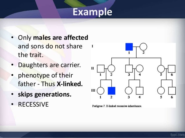 Sex Linked Recessive Inheritence