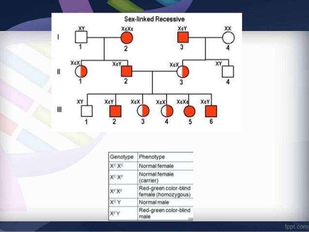 Sex Linked Recessive Inheritence