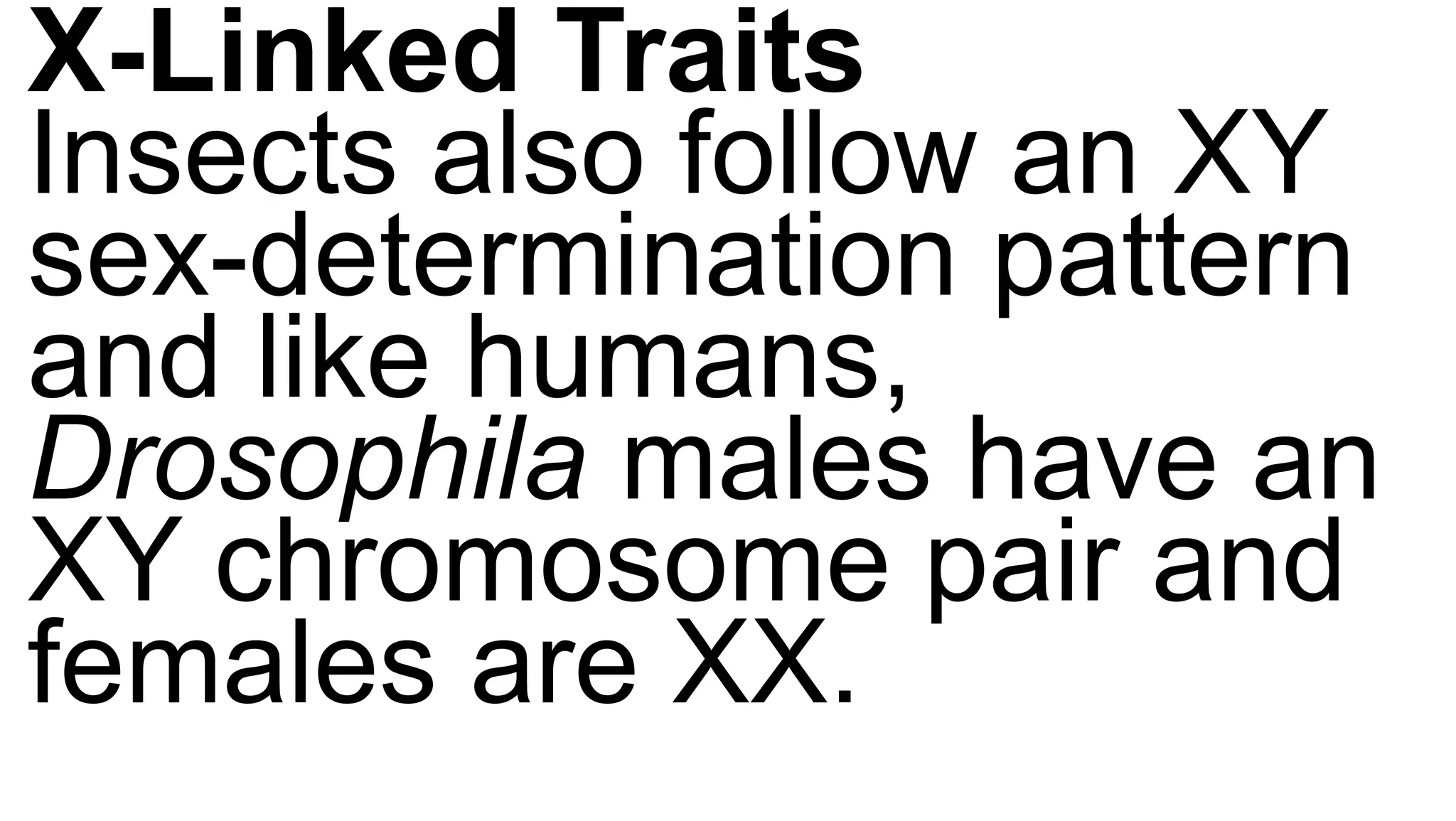 Sex Linked Traits Ppt