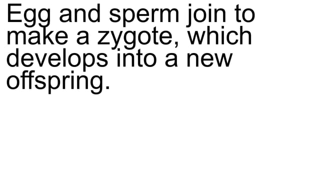 Sex Linked Traits Pptx