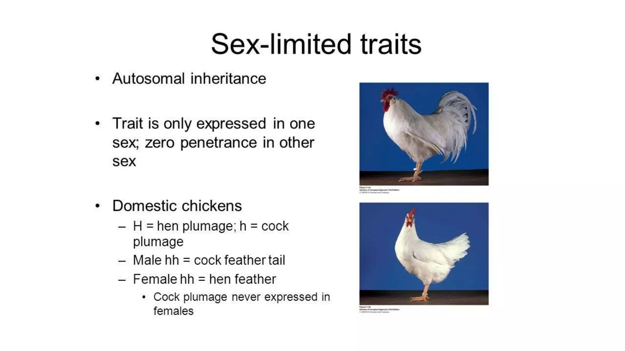 Sex linked traits | PPTX