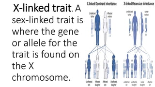 Sex linked traits | PPTX