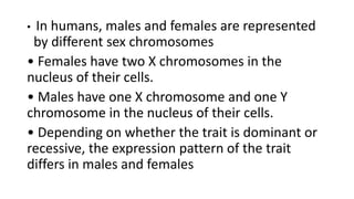 Sex linked traits | PPTX