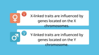 Sex Linked Traits Presentation DEFINITION .pptx