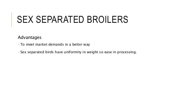 Sex Seperate Rearing Of Birds 7581