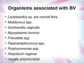 Sexton436presentation | PPT