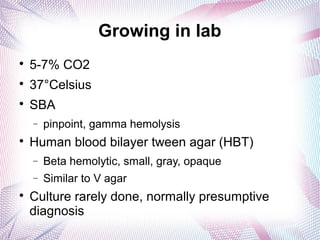 Sexton436presentation | PPT