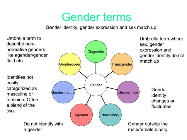 Sexual And Gender Identity Lesson Ppt Ppt