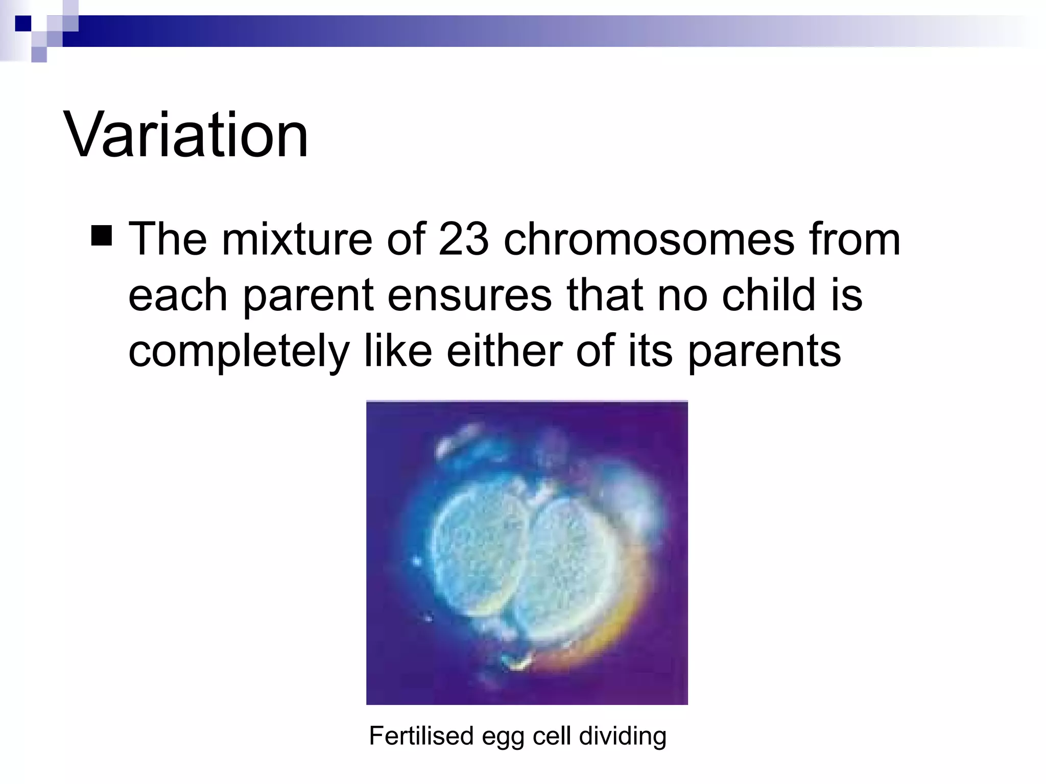 Sexual reproduction | PPT