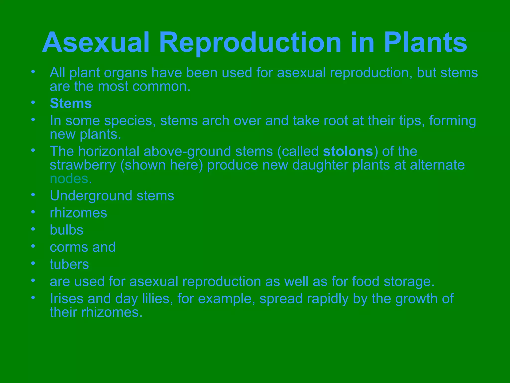 Sexual and asexual | PPT
