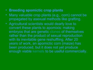 Sexual and asexual | PPT