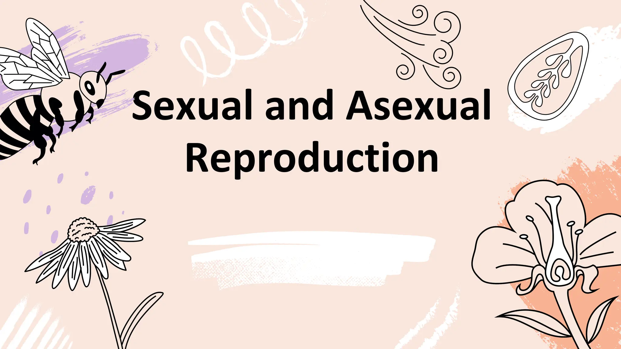 SEXUAL AND ASEXUAL REPRODCUTION and reproductive system.pdf