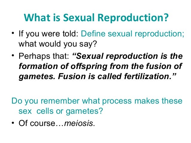 Reproduction Meaning