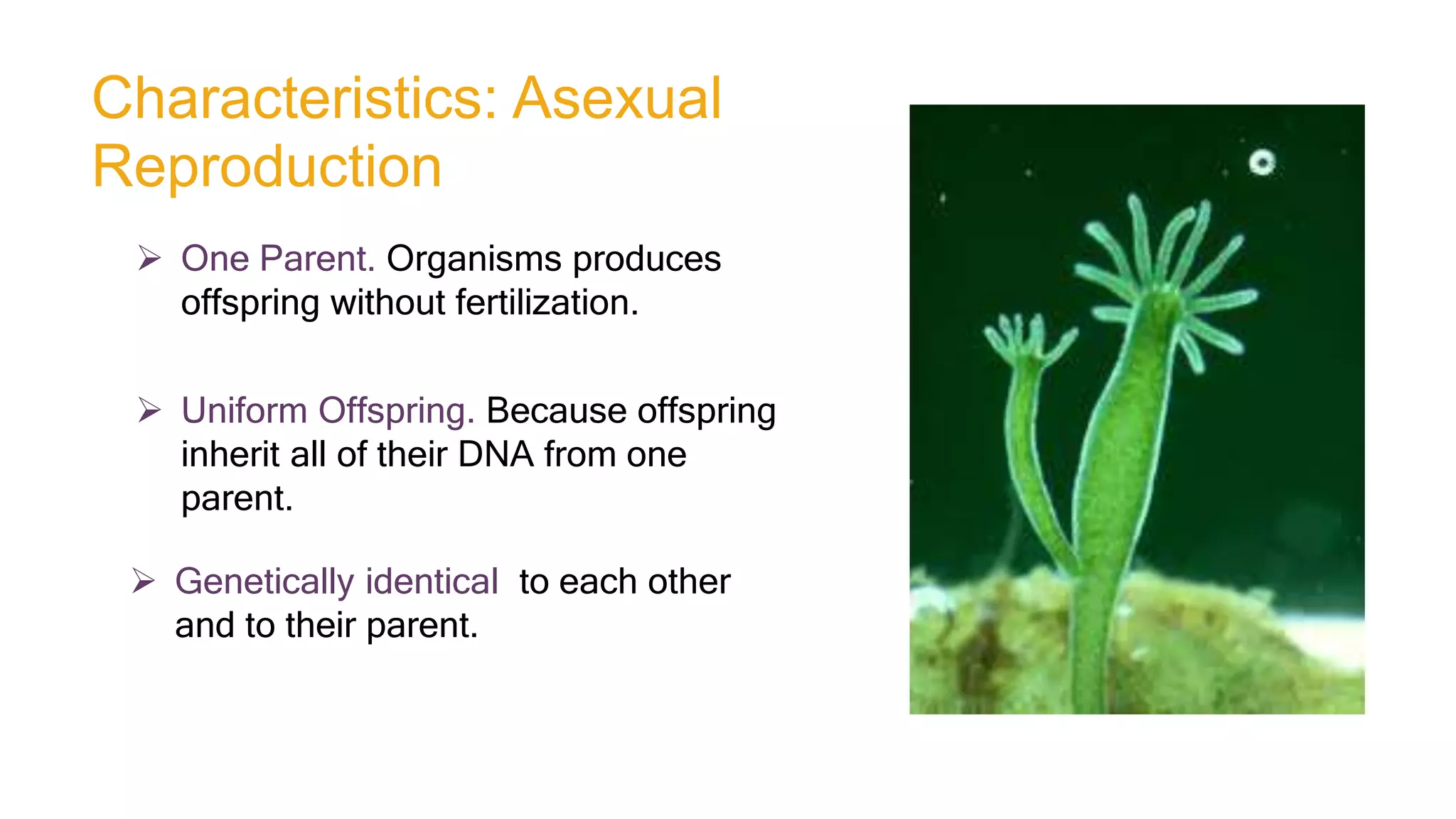 sexual and asexual reproduction-'22-'23.pptx