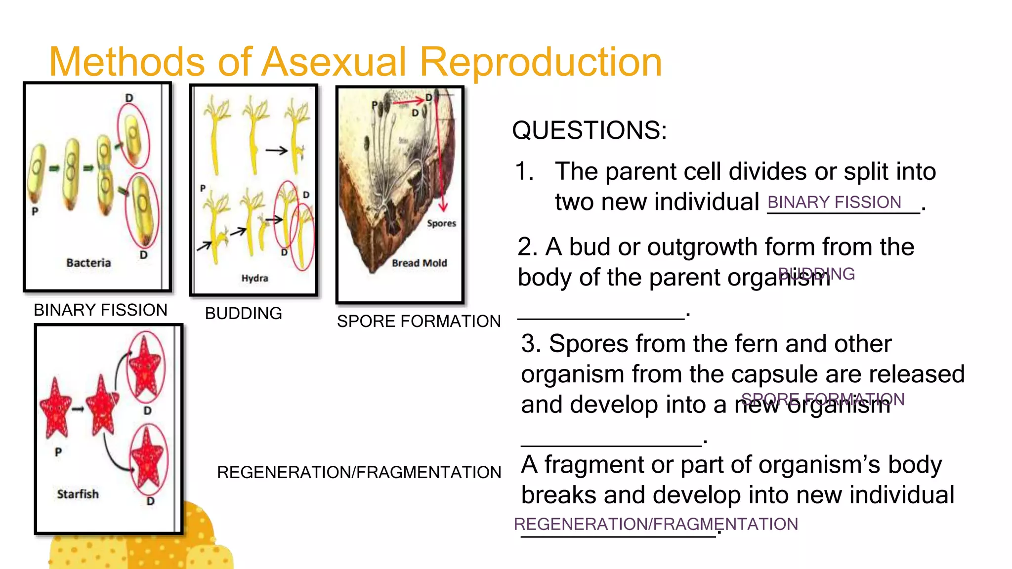 sexual and asexual reproduction-'22-'23.pptx