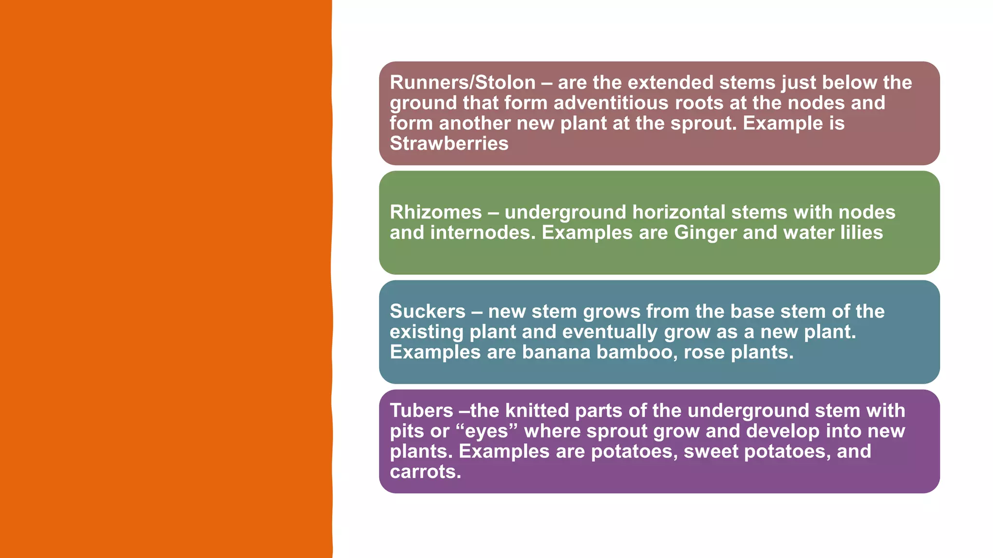 sexual and asexual reproduction-'22-'23.pptx