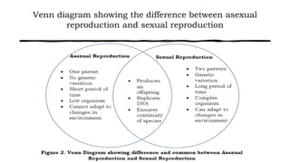 sexual and asexual reproduction-'22-'23.pptx