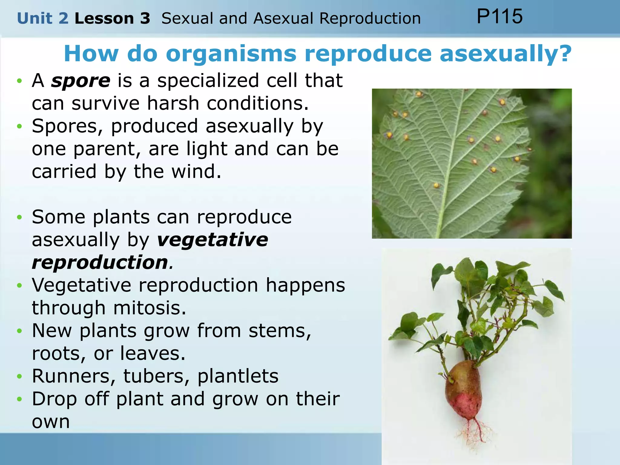 Sexual and Asexual Reproduction.ppt