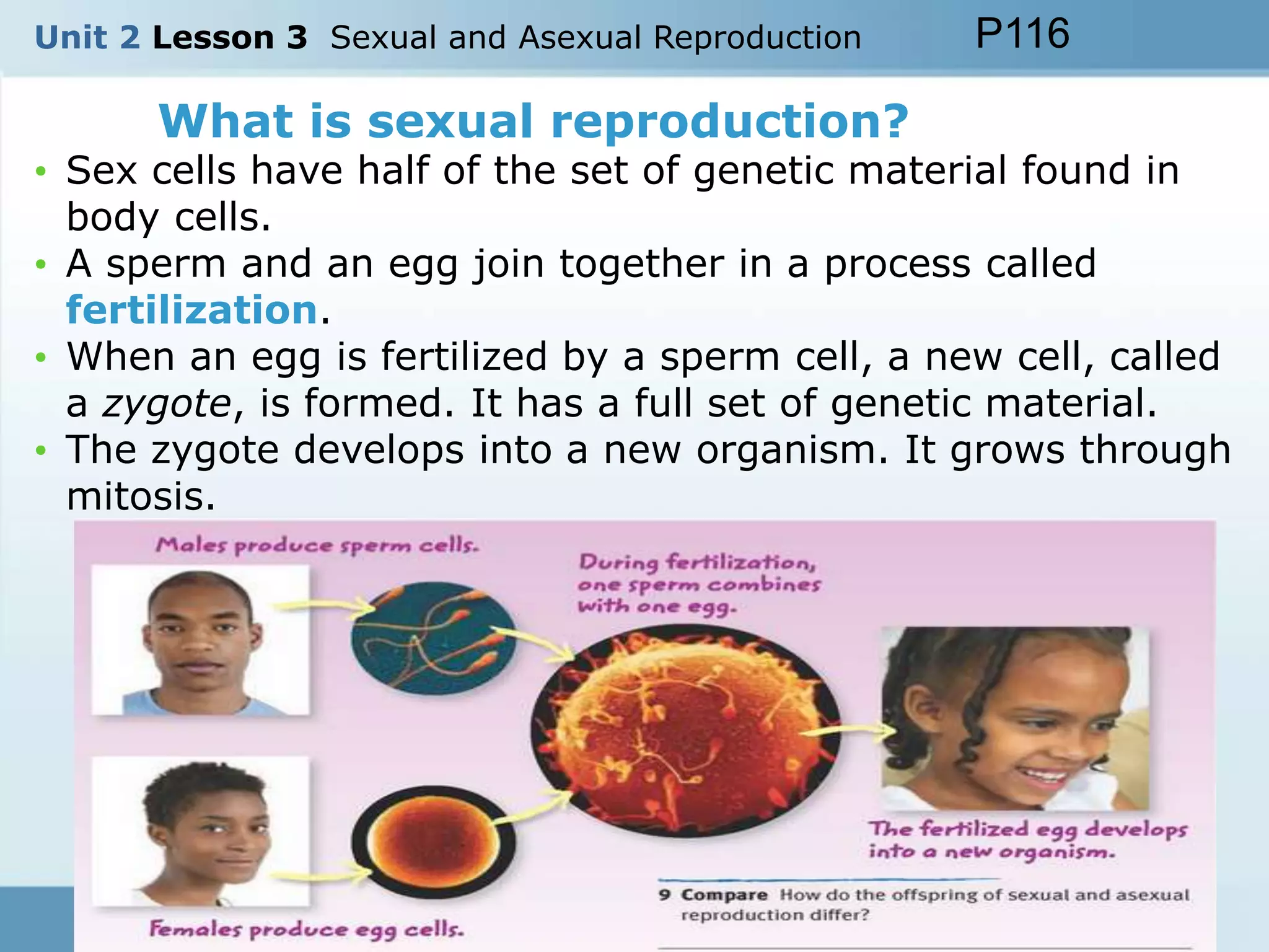 Sexual and Asexual Reproduction.ppt