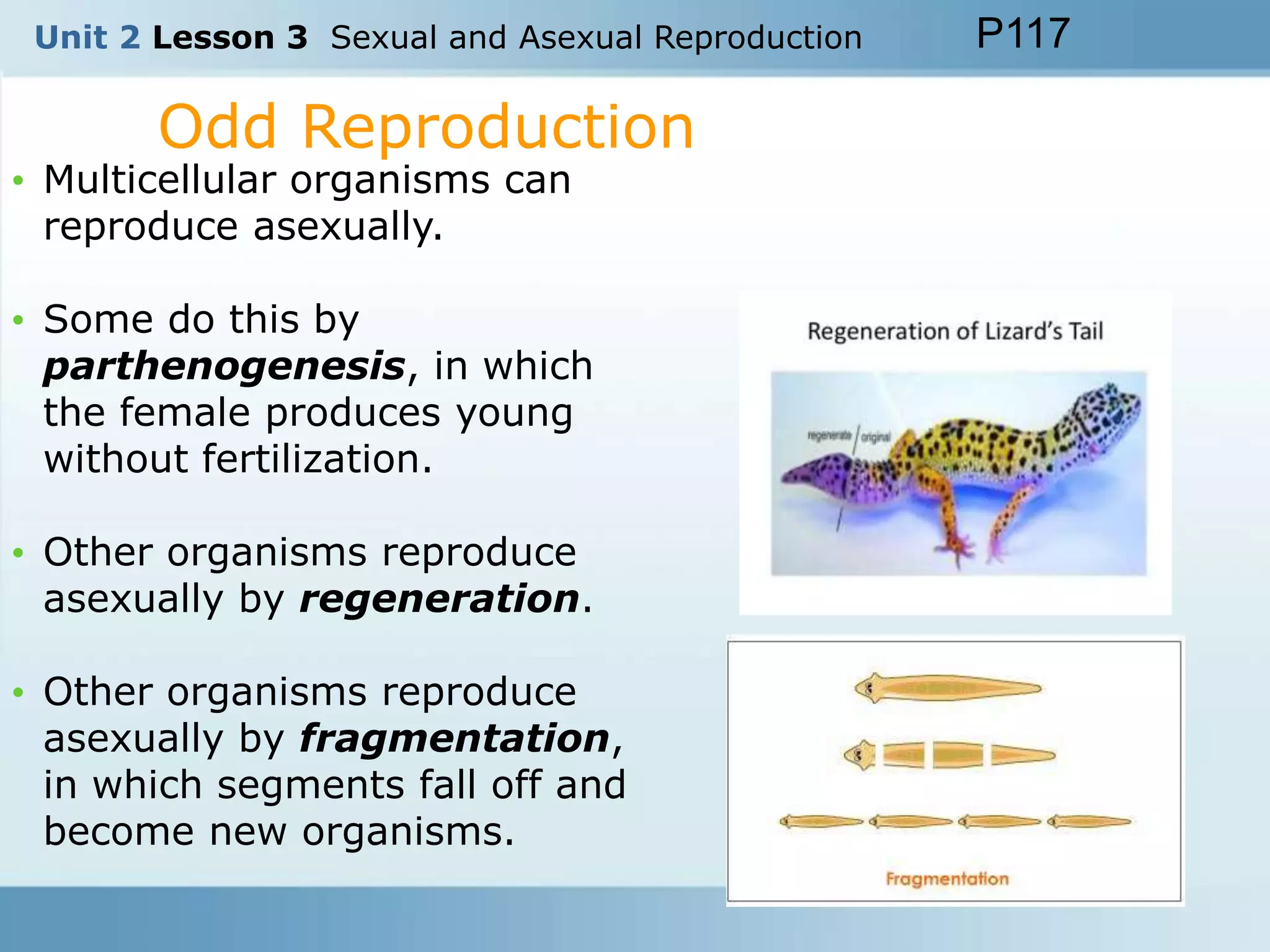 Sexual and Asexual Reproduction.ppt