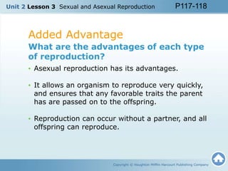 Sexual and Asexual Reproduction.ppt