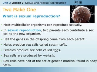Sexual and Asexual Reproduction.ppt