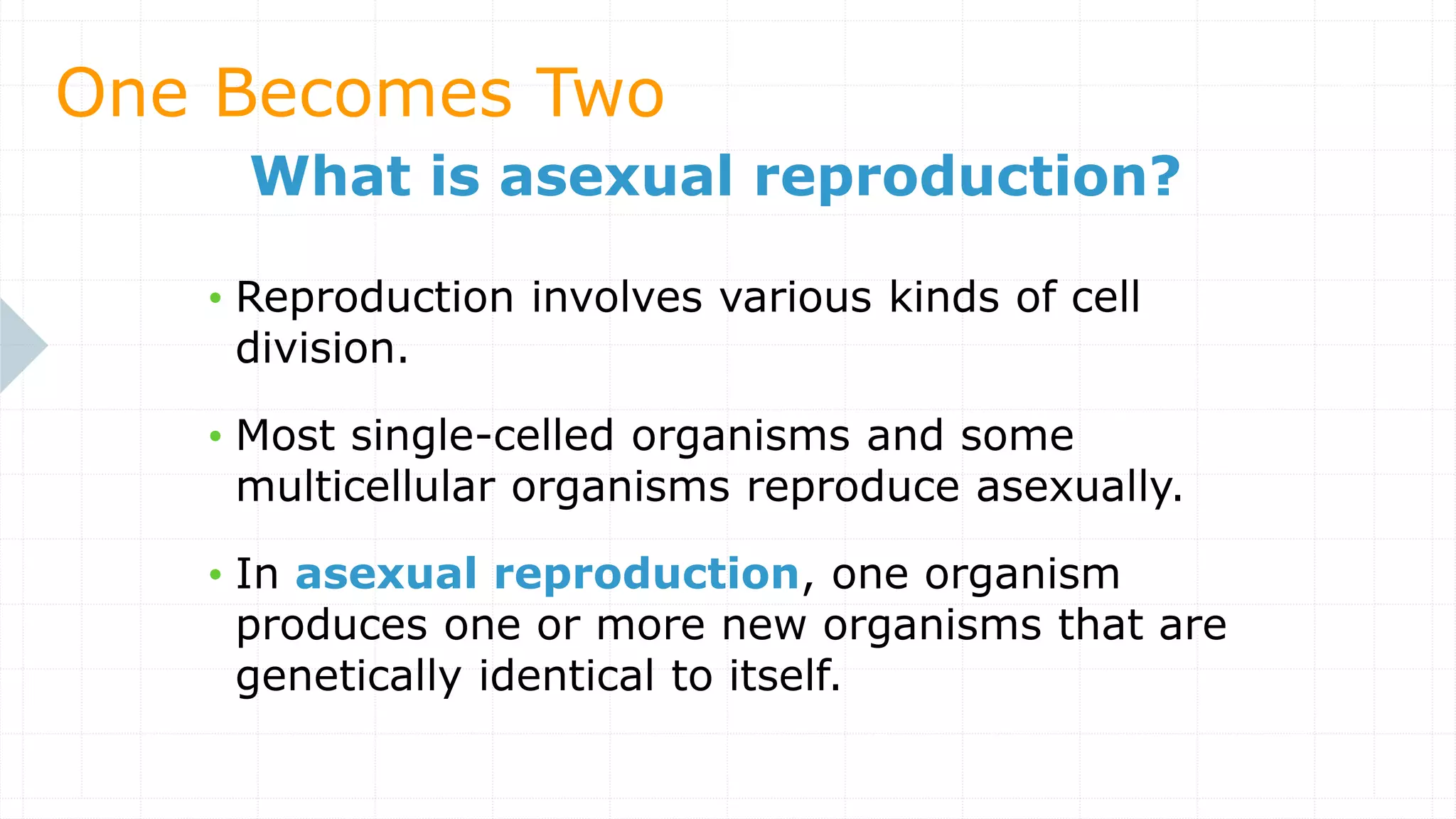 Sexual and Asexual Reproduction.pptx